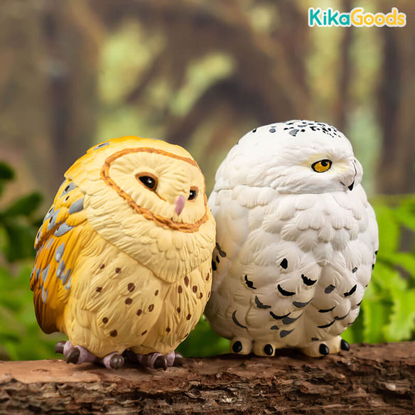 Bird Blind Box – KIKAGoods